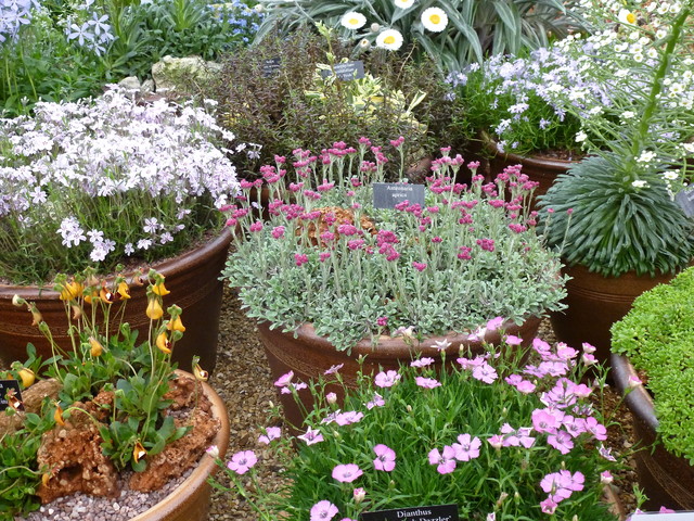 How to Grow a Container Garden | Houzz UK