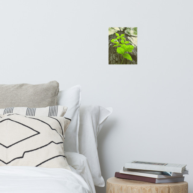 Climbing The Tree Nature Photography, Botanical Unframed Wall Art Print ...