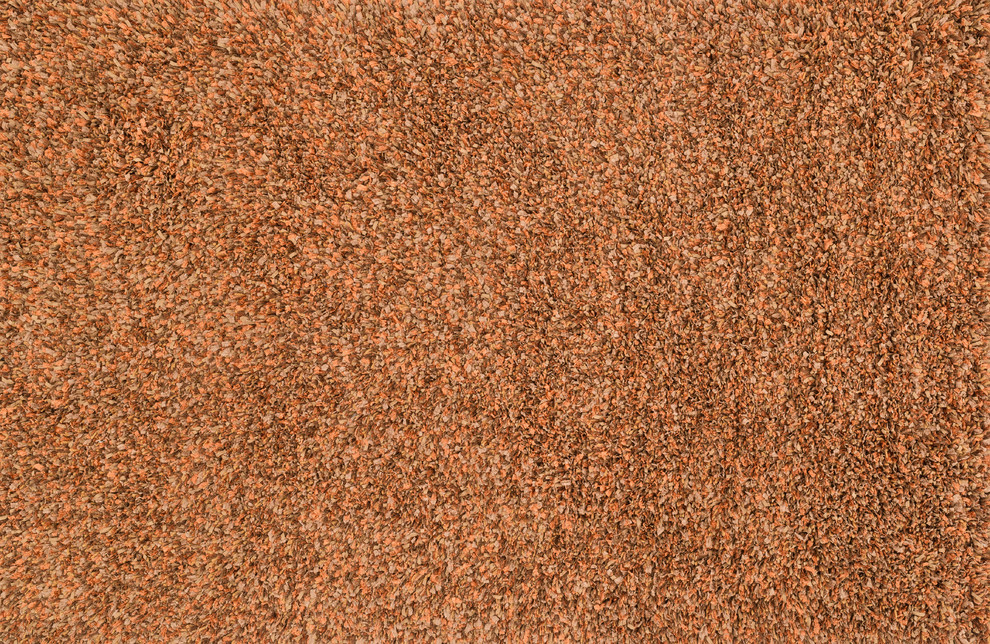 Loloi Cleo Shag CO-01 Rust Rug, 9'3"x13' - Contemporary - Area Rugs ...