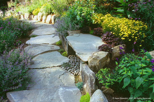 Lepkebarát kert kialakítása: Útmutató kertépítőktől - 2. rész