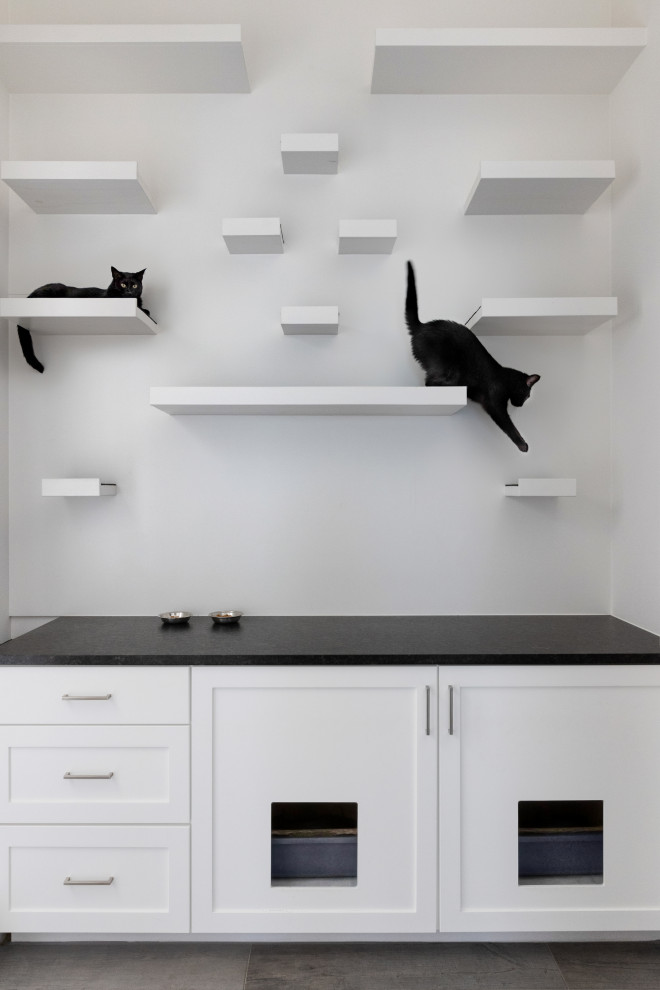 Organic Modern Cat Room - Modern - Austin - by Kelley Design Group | Houzz