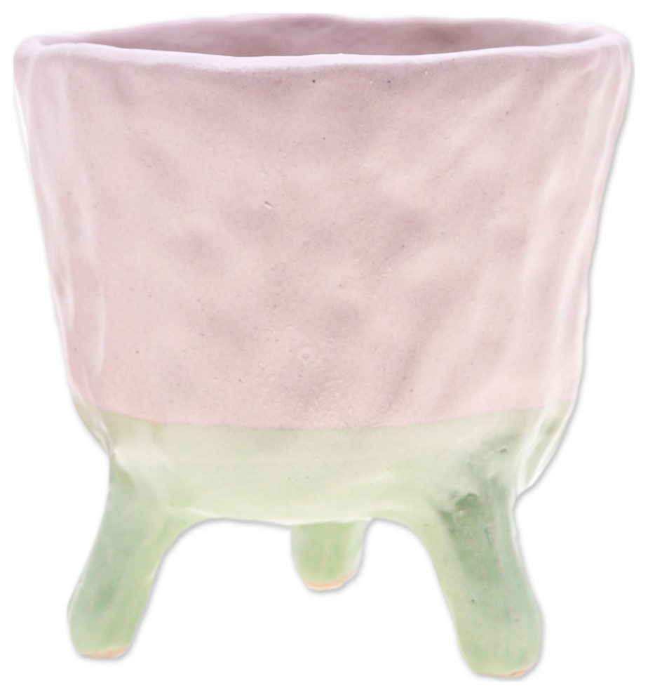 Novica Handmade Pink Sprout Ceramic Flower Pot - Contemporary - Indoor ...