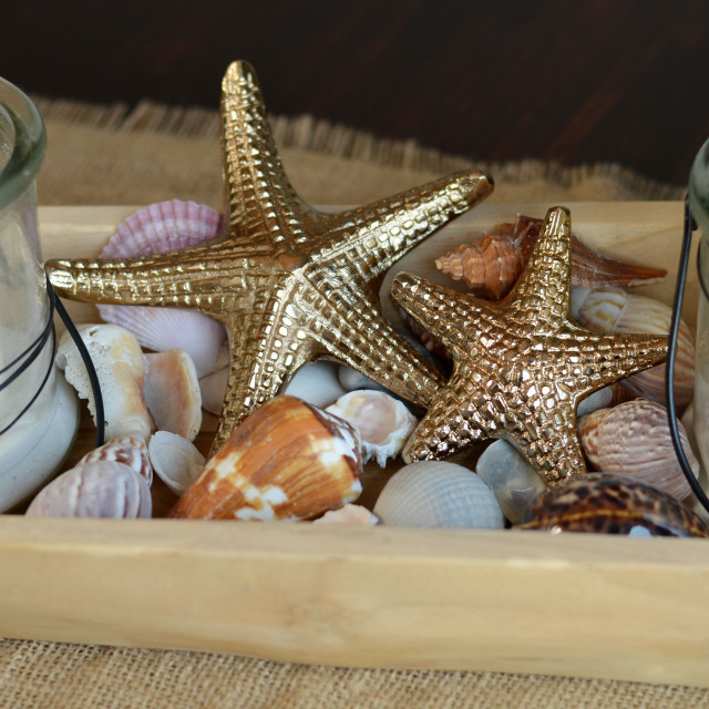 2 Piece Cape Cod Star Fish - Beach Style - Wall Sculptures - by Whole ...