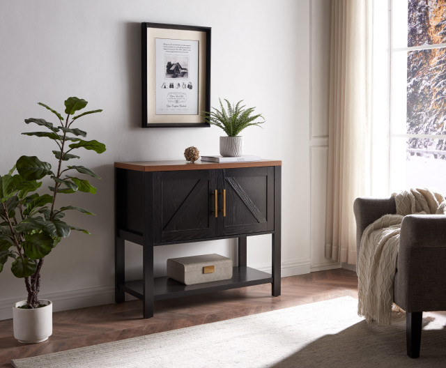 Duquette 2-Door Modern Storage Console Table - Transitional - Console ...