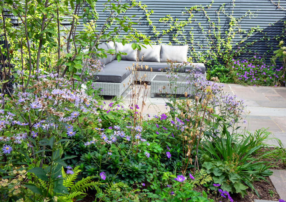 Wimbledon - Contemporary - Garden - London - by Harry Holding Studio ...