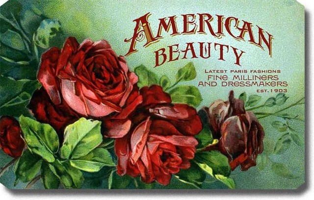 Victorian Red Rose Millinery Sign - Contemporary - Wall Accents - by ...