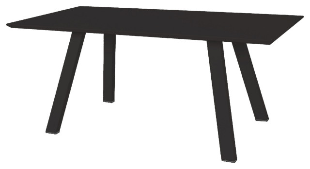 Sunset Rectangular Coffee Table, Black - Transitional - Coffee Tables - by Pangea Home | Houzz