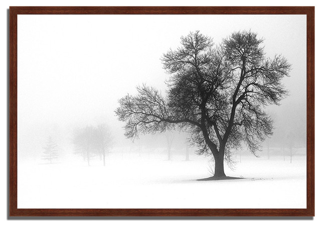 "Reaching Out", Framed Photograph Print, Ready To Hang - Contemporary ...