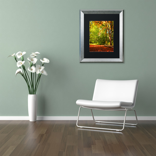 Philippe Sainte-Laudy 'Sideways Dreaming' Matted Framed Art, 16"x20 ...