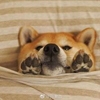 TIANHE - Project Photos & Reviews - china, IL US | Houzz