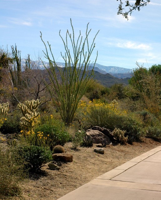 Southwest Gardener's April Checklist