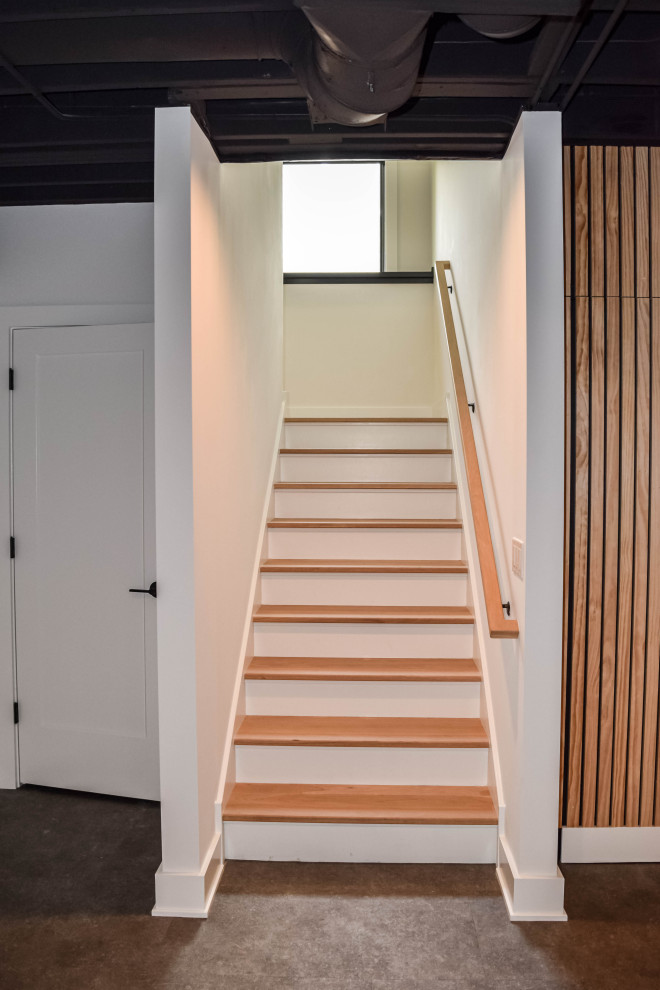 Modern Contemporary Basement - Modern - Basement - Chicago - by DJK ...