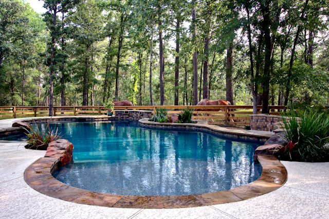 Lagoon Style Inground Pools