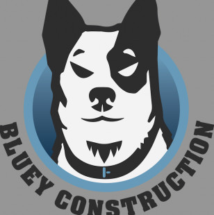 BLUEY CONSTRUCTION - Project Photos & Reviews - Colona, IL US | Houzz