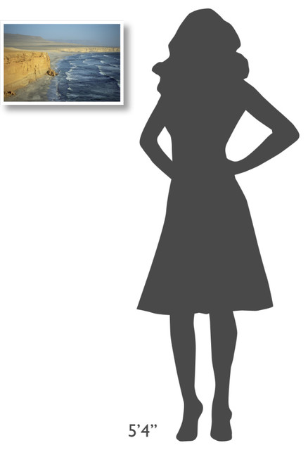 Atacama Desert, Sea Cliffs And Pacific Ocean, Paracas Peninsula, Peru ...