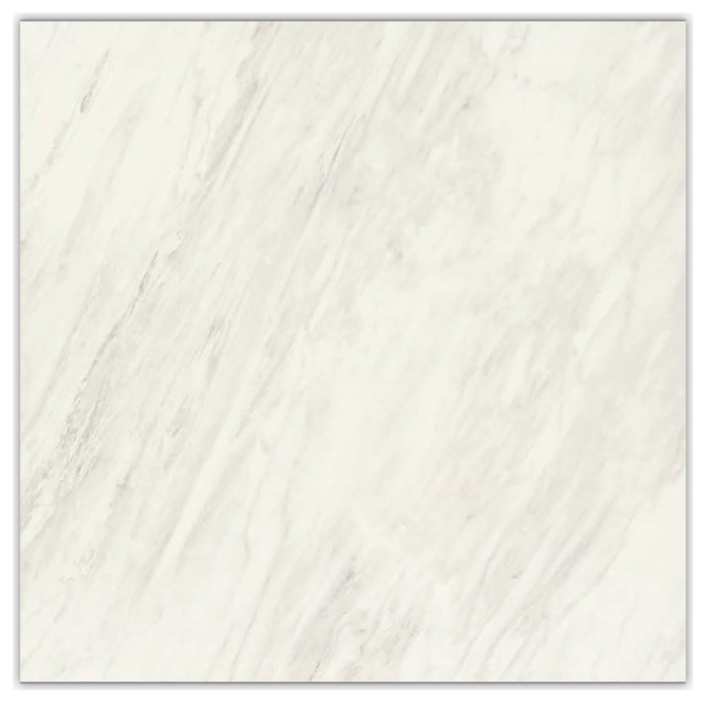 Eterno Siro Polished 24x24 Porcelain Tile, 24x24 - Contemporary - Wall ...