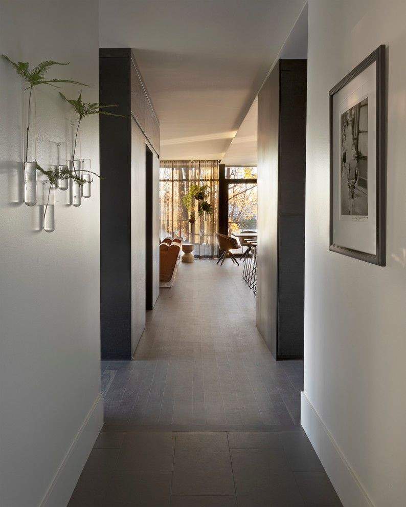 Dramatic Hall to Living Room - Contemporary - Hall - Chicago - by ...