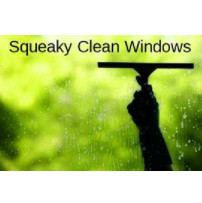 SQUEAKY CLEAN WINDOWS INC - Project Photos & Reviews - New York, NY US ...