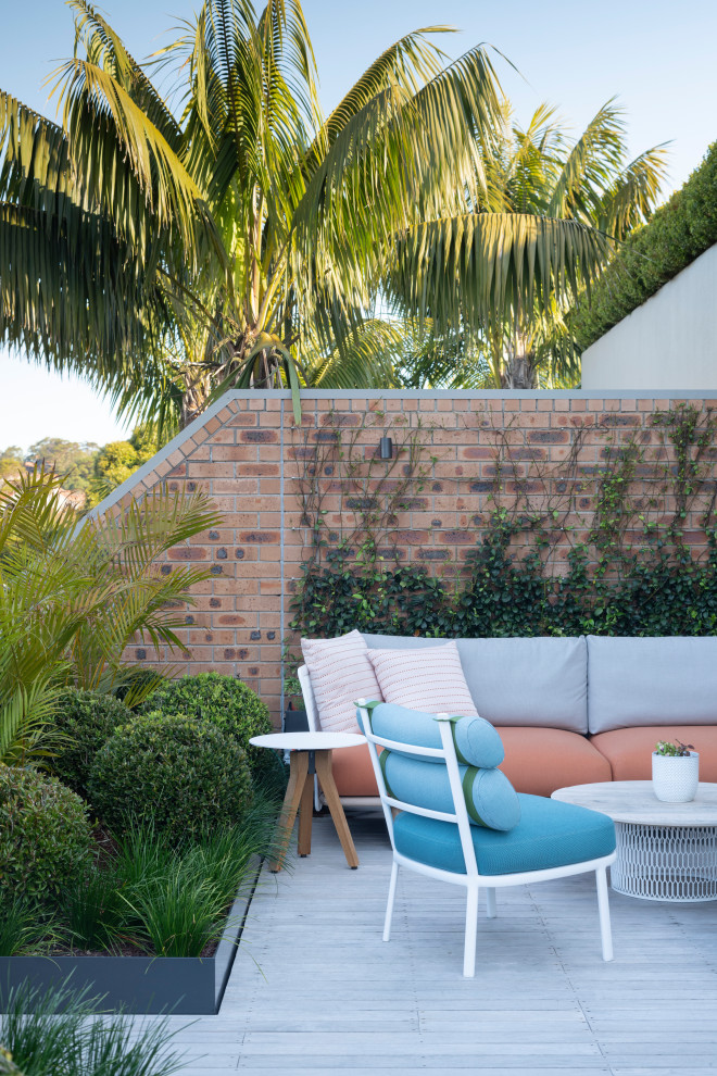 Sydney Courtyard - Contemporary - Balcony - Sydney - by Joanne Green ...