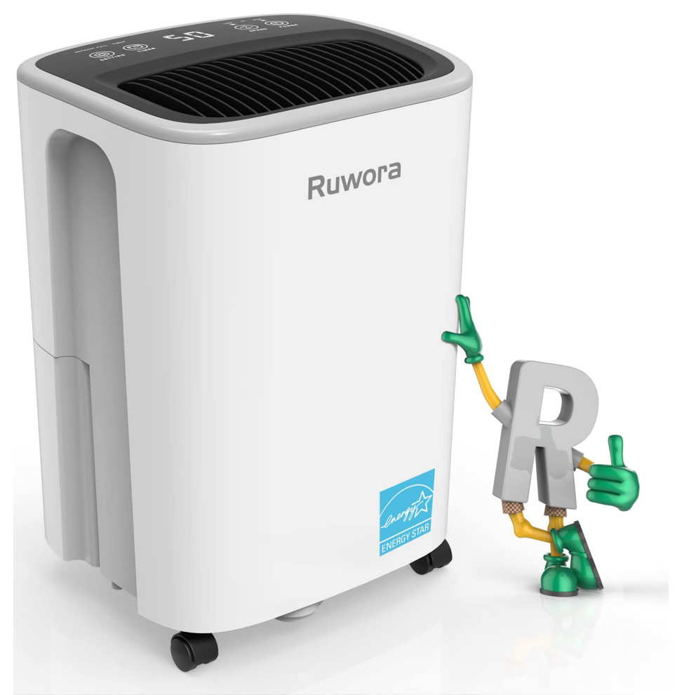 Dehumidifier 2500 Sq.Ft 30 Pint, Dehumidifiers With Drain Hose, 0.66 ...