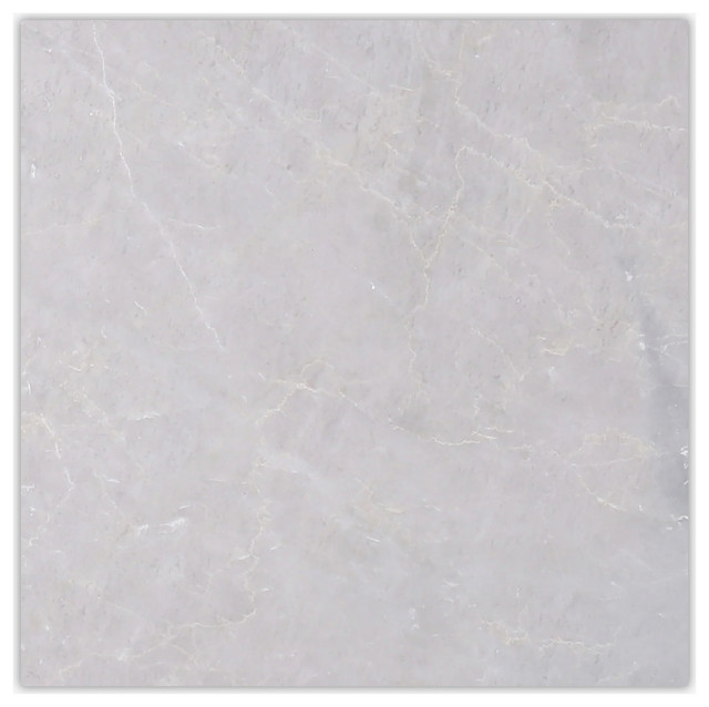 Allure Gray Honed 12x12 Marble Tile, 12x12 - Traditional - Wall And ...