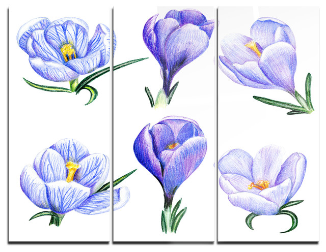 "Hand drawn Crocuses" Metal Wall Art, 3 Panels, 36"x28", 36"x28" 3 ...