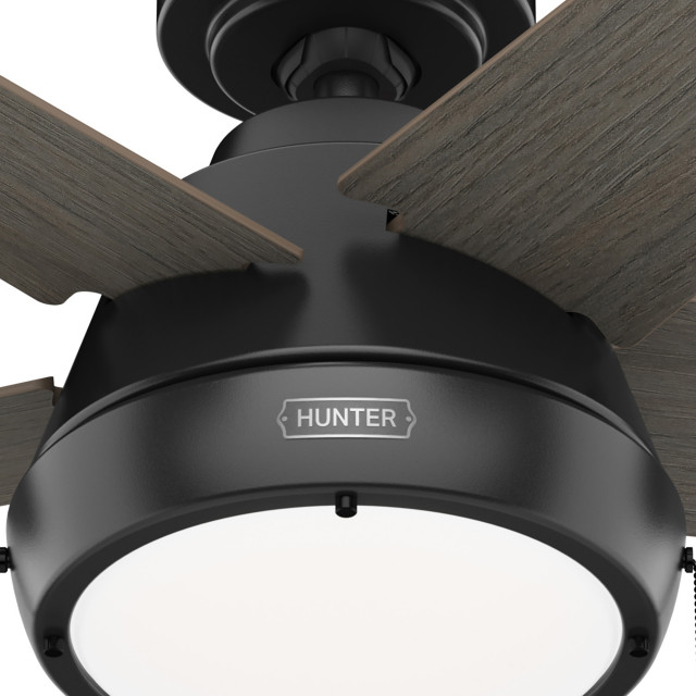 Hunter 44" Burroughs Matte Black Ceiling Fan With LED Light Kit and ...