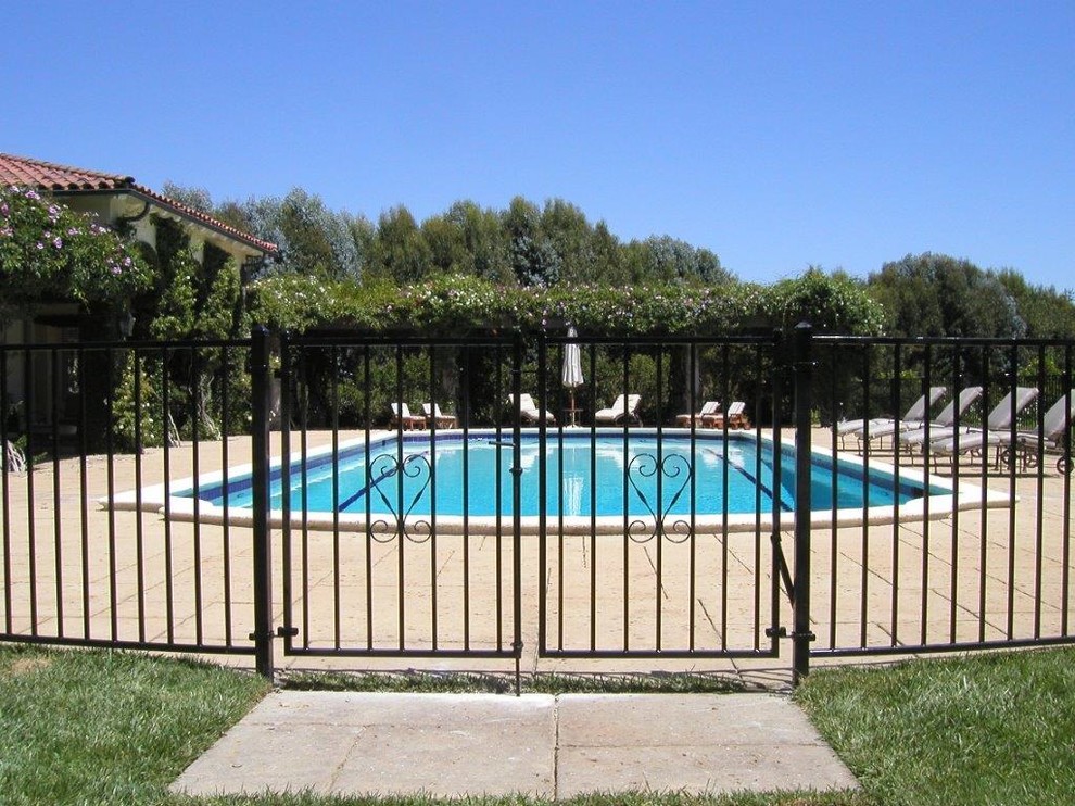 Ornamental Iron Pool Fence & Gate - Traditional - Pool - Los Angeles ...