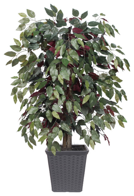 4' Capensia Bush Square Gray Container - Contemporary - Artificial ...