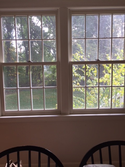 2 Double Hung Windows - Factory Mulled Appearance?