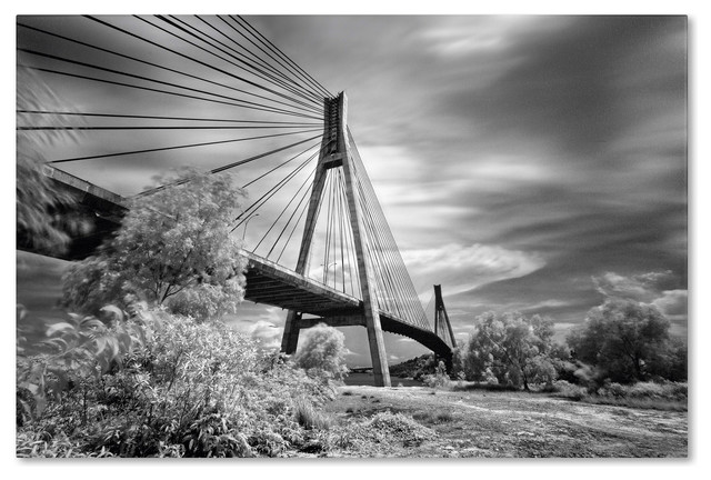 'First Link' Canvas Art by Michael de Guzman, 12" x 19" - Contemporary ...