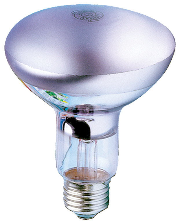 Halogen R40 Light Bulbs | Shelly Lighting