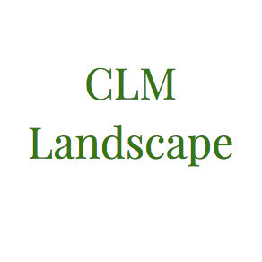 CLM LANDSCAPE LLC - Project Photos & Reviews - Henderson, NV US | Houzz