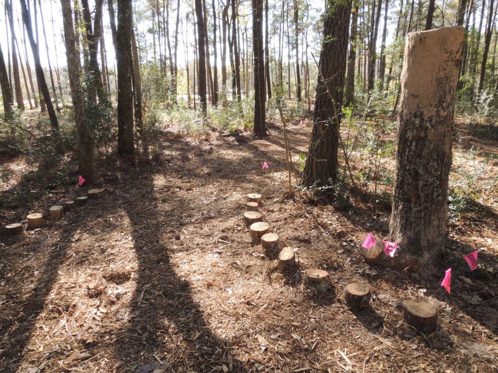 Tour a Romantic Cottage-Style Landscape in the Hamptons
