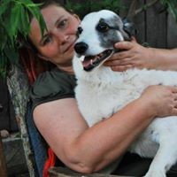 PAPI VET - Project Photos & Reviews - Boston, MA US | Houzz