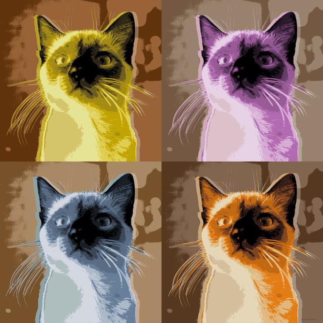 Cat Pop Art Print, 1, 55x55 Rolled - Contemporary - Prints And Posters ...
