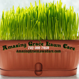 AMAZING GRACE LAWN CARE - Project Photos & Reviews - Metuchen, NJ US ...