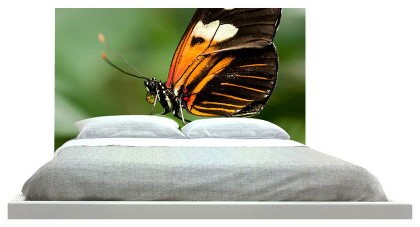 "Butterfly" Headboard, Double - Contemporary - Headboards - by ZoZulu ...