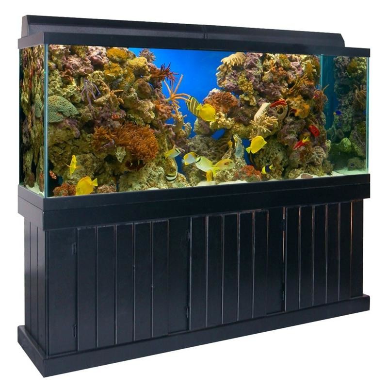 How can I make this fish tank less offensive?