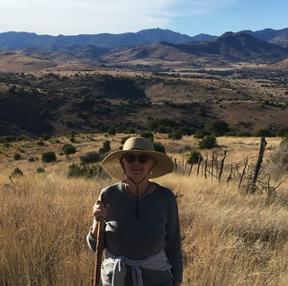 SUSAN APPLETON ARCHITECT - Project Photos & Reviews - Dallas, TX US | Houzz