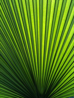 JOHN MORIN - Project Photos & Reviews - FL, US | Houzz