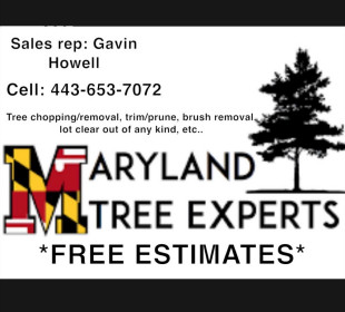 MARYLAND TREE EXPERTS INC - Project Photos & Reviews - Baltimore, MD US ...