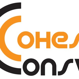 COHESIVE CONSTRUCTION LLC - Project Photos & Reviews - Denver, CO US ...