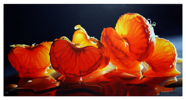 'Mandarin Orange' Canvas Art by Cecile Baird, 10" x 19" - Contemporary ...