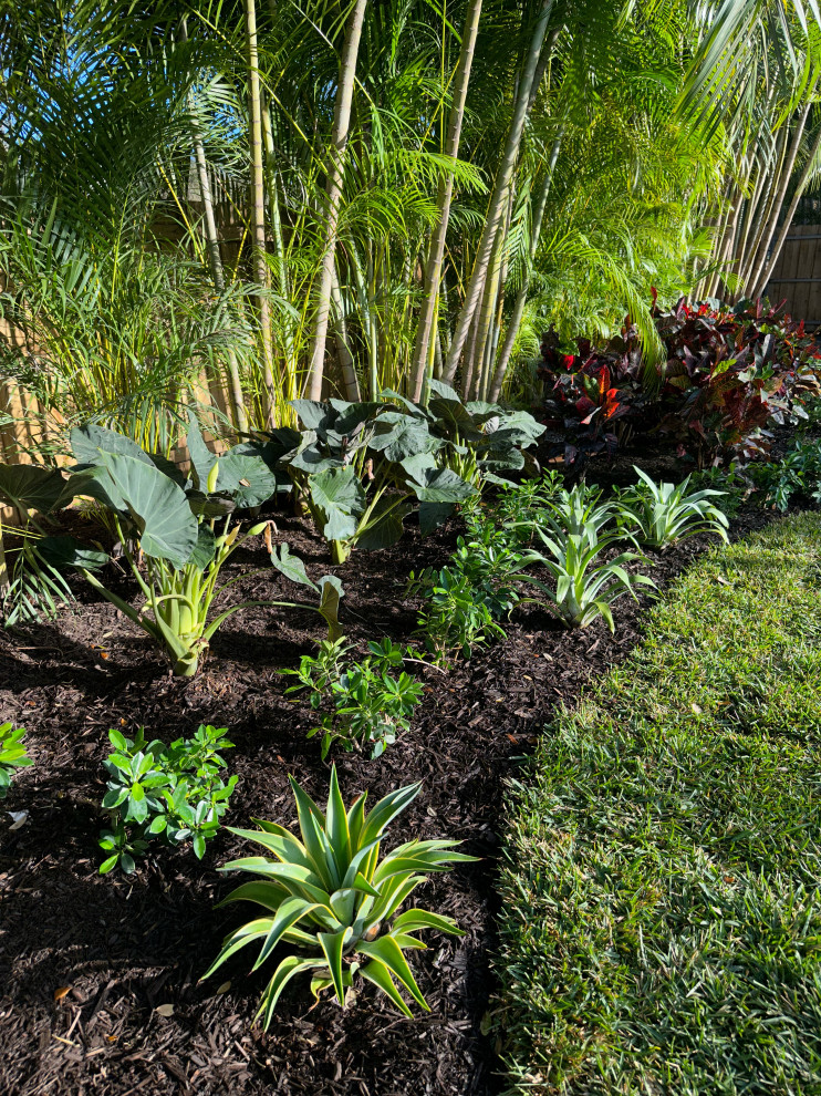 Miami Shores Landscape Design - Tropical - Landscape - Miami - by Sugar ...