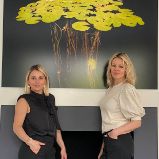 VIK + ROMA - Project Photos & Reviews - NEW CANAAN, CT US | Houzz