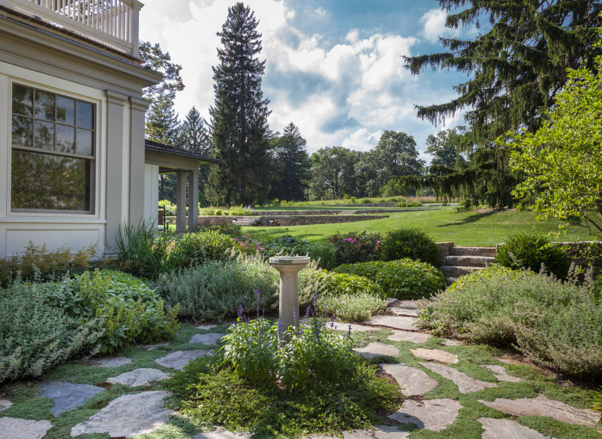 9 Design Tips to Improve Views of Your Garden | Houzz AU