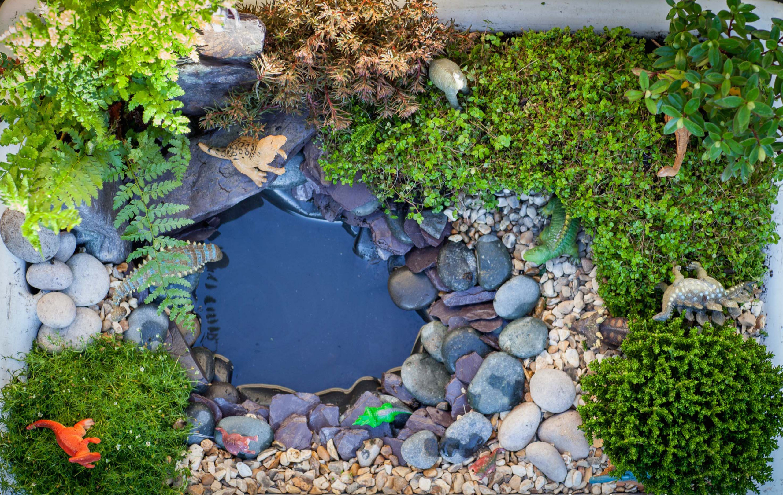 This Mini Dino Park is the Cutest Small Garden Project