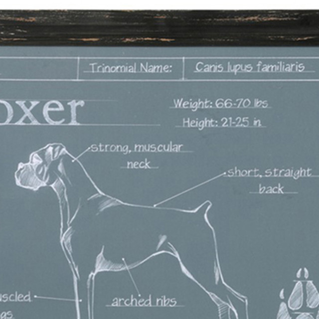 Rectangular Wooden Wall Art with Different Dog Breeds,Assortment of 4 ...