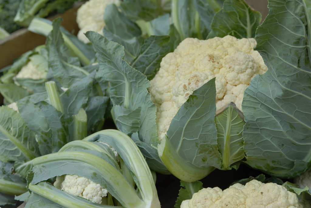 Plants De Chou Fleur Chou Fleur D'origine Française | La Halle Aux